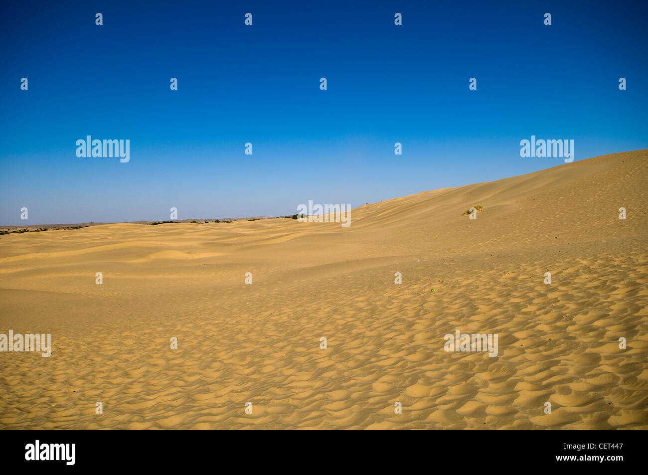 Great indian desert hi-res stock photography and images - Alamy