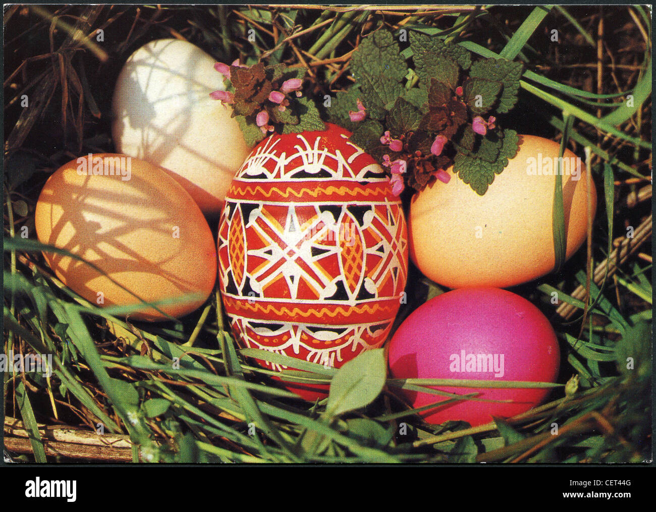 GERMANY - CIRCA 1988: Easter postcard printed in the GDR, is shown ...