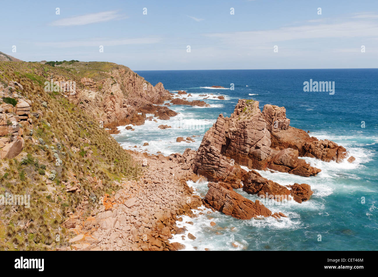 Snapper head hi-res stock photography and images - Alamy