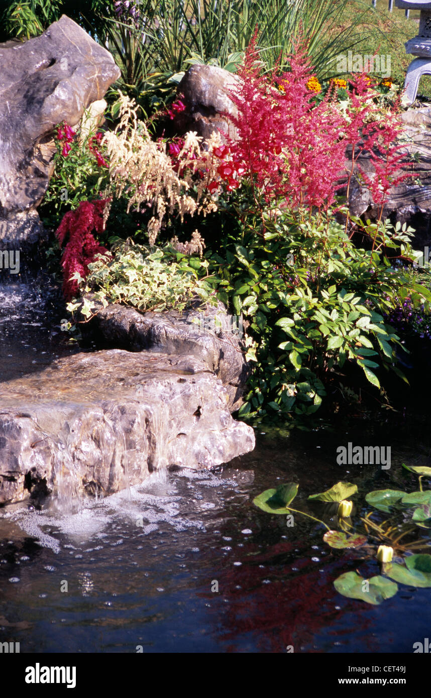 Garden detail image of water feature with rocks, water lily and ...