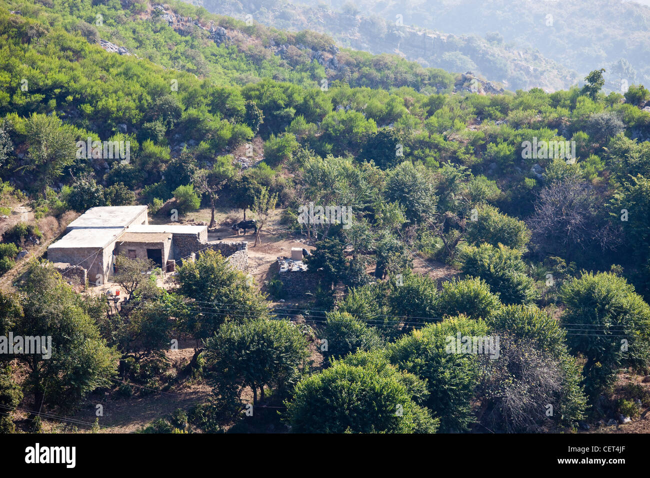 Farmhouse near Islamabad, Pakistan Stock Photo - Alamy