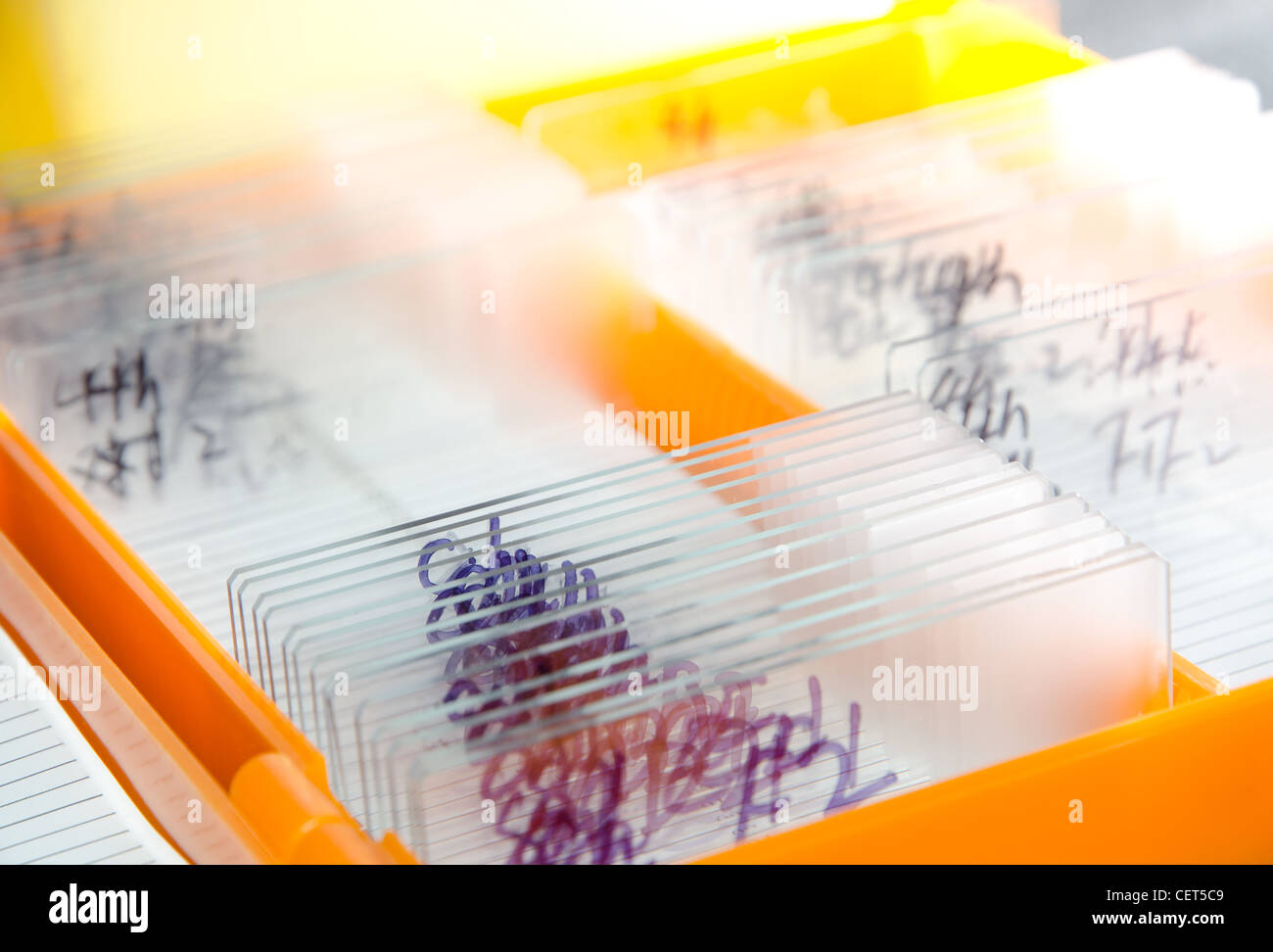 medical science background glass microscope slide Stock Photo - Alamy