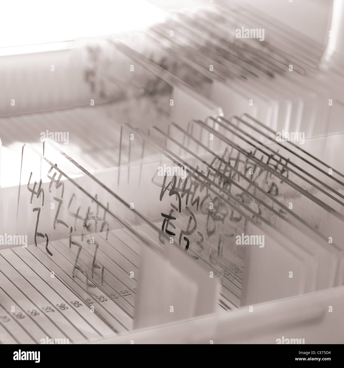 medical science background glass microscope slide Stock Photo - Alamy