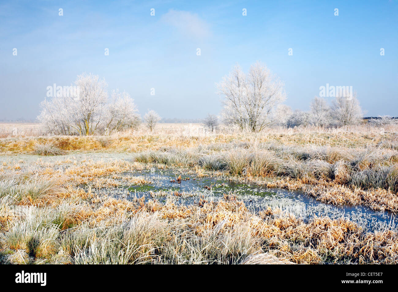 Frozen Marsh land close to St Benets Abbey on the Norfolk Broads ...