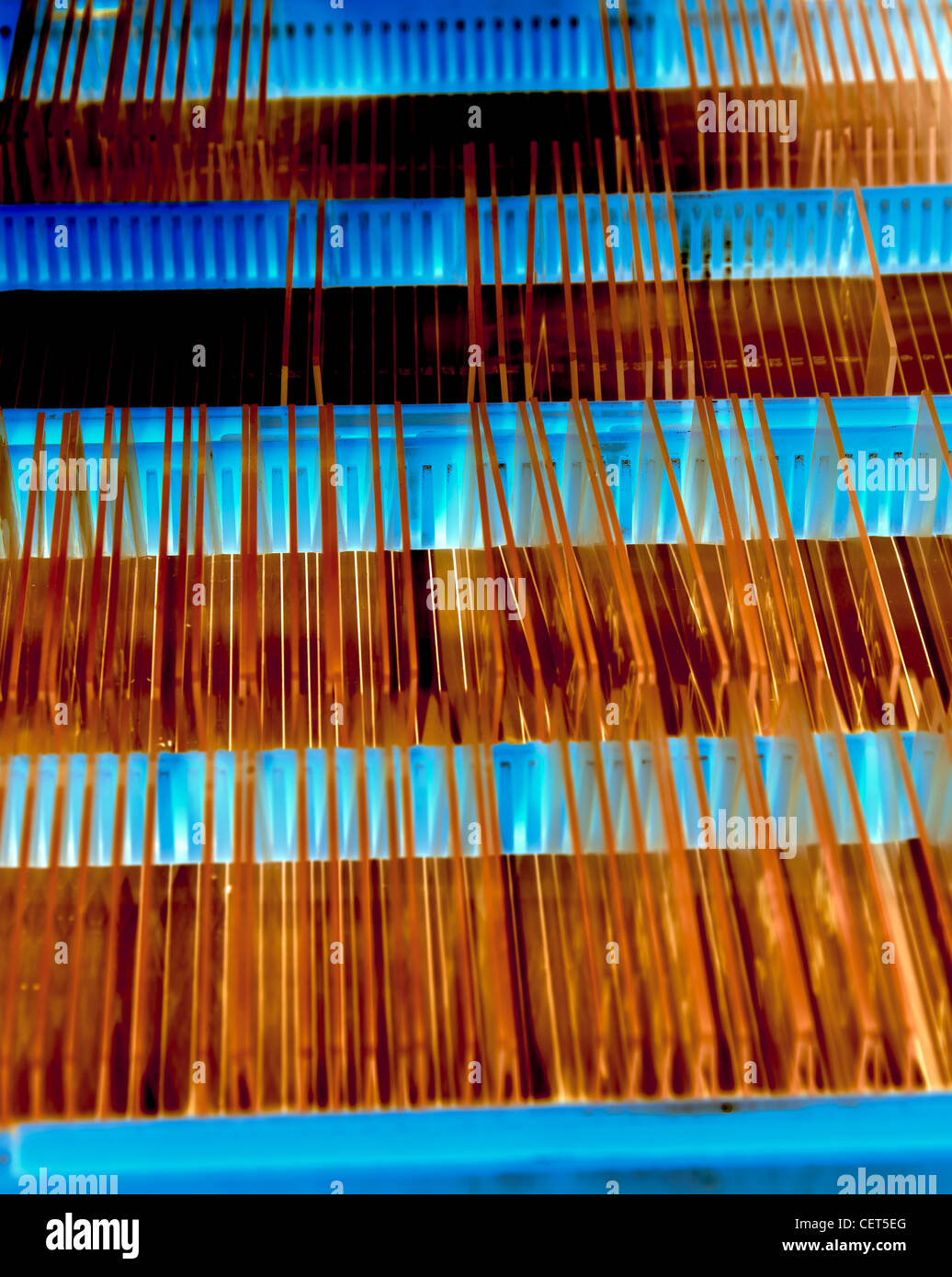 medical science background glass microscope slide Stock Photo - Alamy