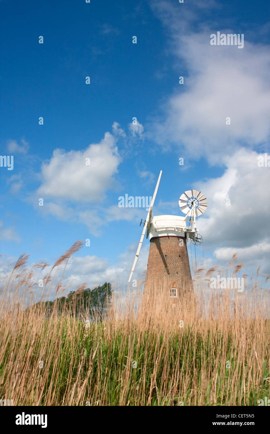 The newly restored Hardley Drainage Mill on the Norfolk Broads Stock ...