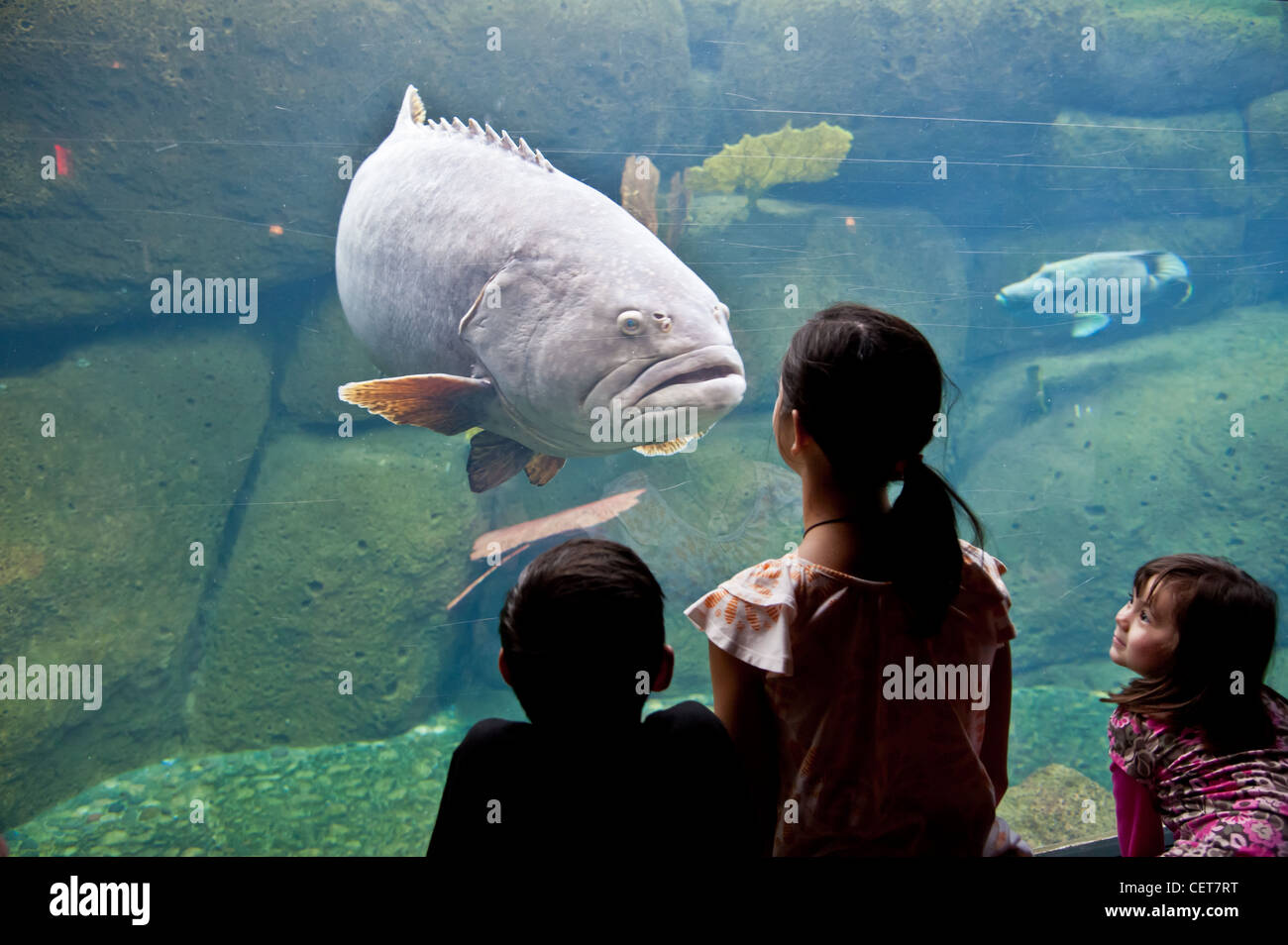 Big mouth show hi-res stock photography and images - Alamy