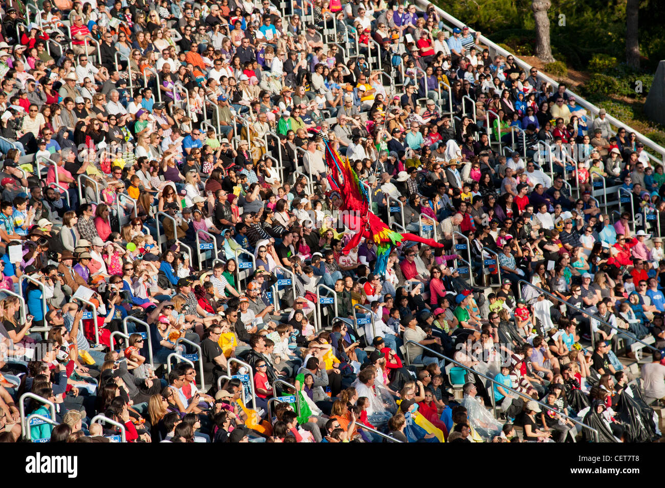 An actress flying high over audience in Sea World Stock Photo - Alamy