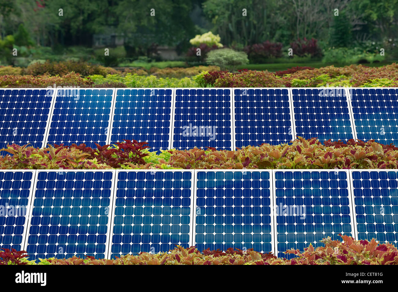 Concept of solar panel garden and green environment Stock Photo - Alamy