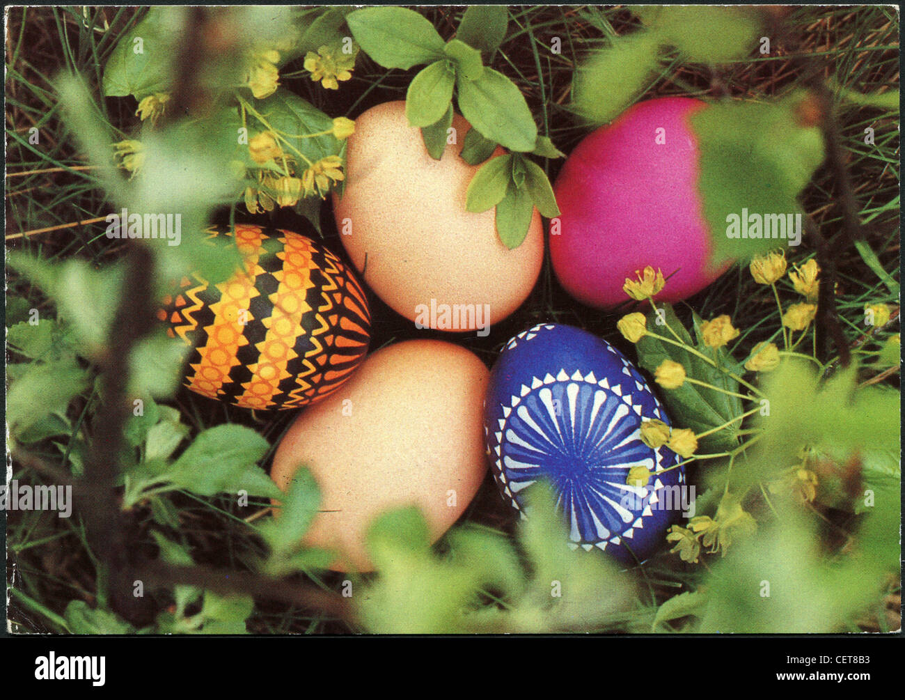 GERMANY - CIRCA 1984: Easter postcard printed in the GDR, is shown ...