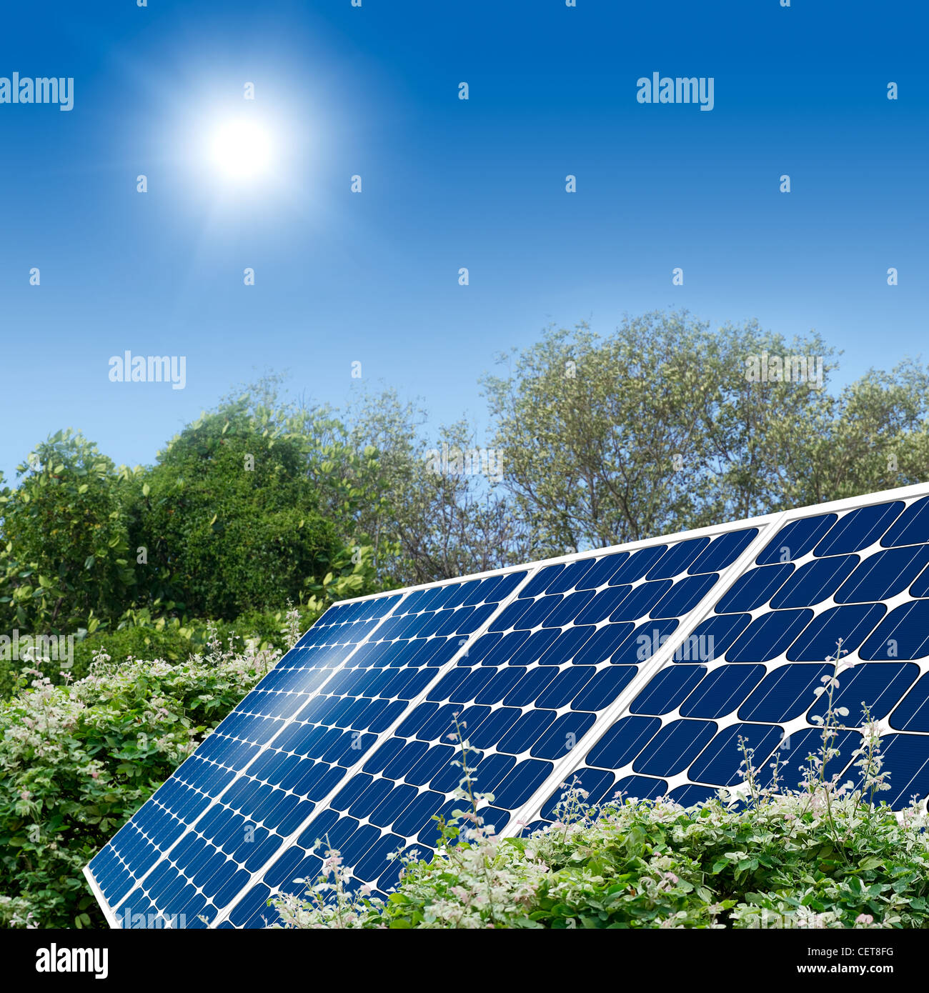Solar panel harness energy of the sun. Green environment Stock Photo ...