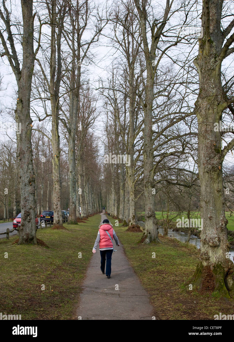 A lady on a winter countryside walk Stock Photo - Alamy