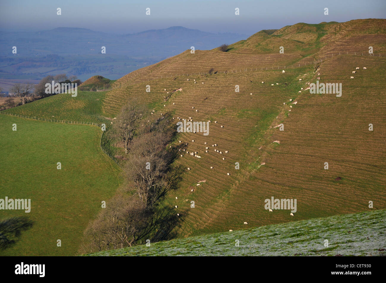 Eggardon hill fort hi-res stock photography and images - Alamy
