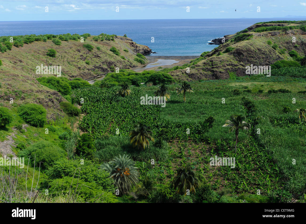 East coast farming hi-res stock photography and images - Alamy