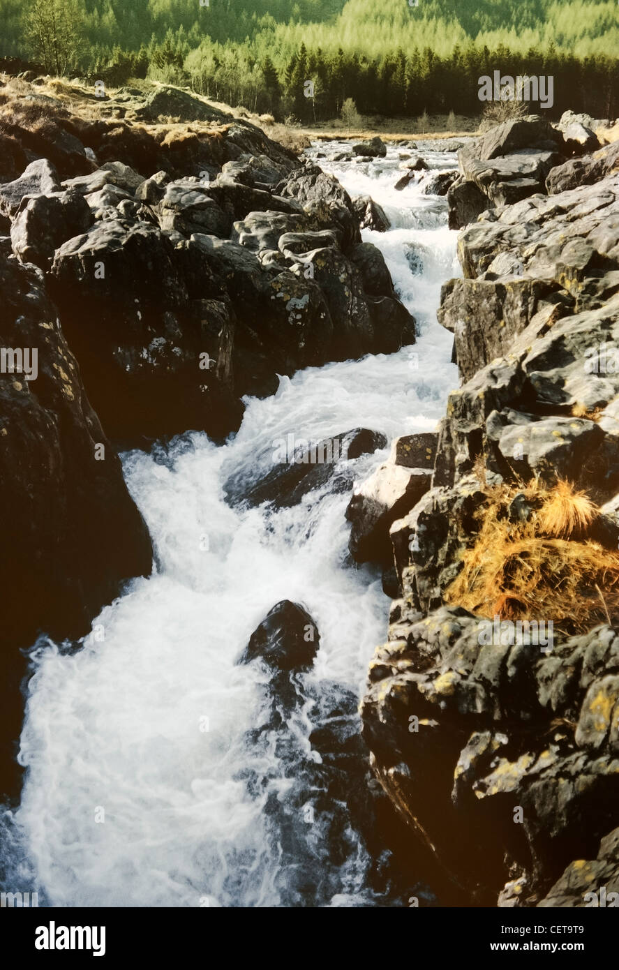 Dunnerdale forest hi-res stock photography and images - Alamy