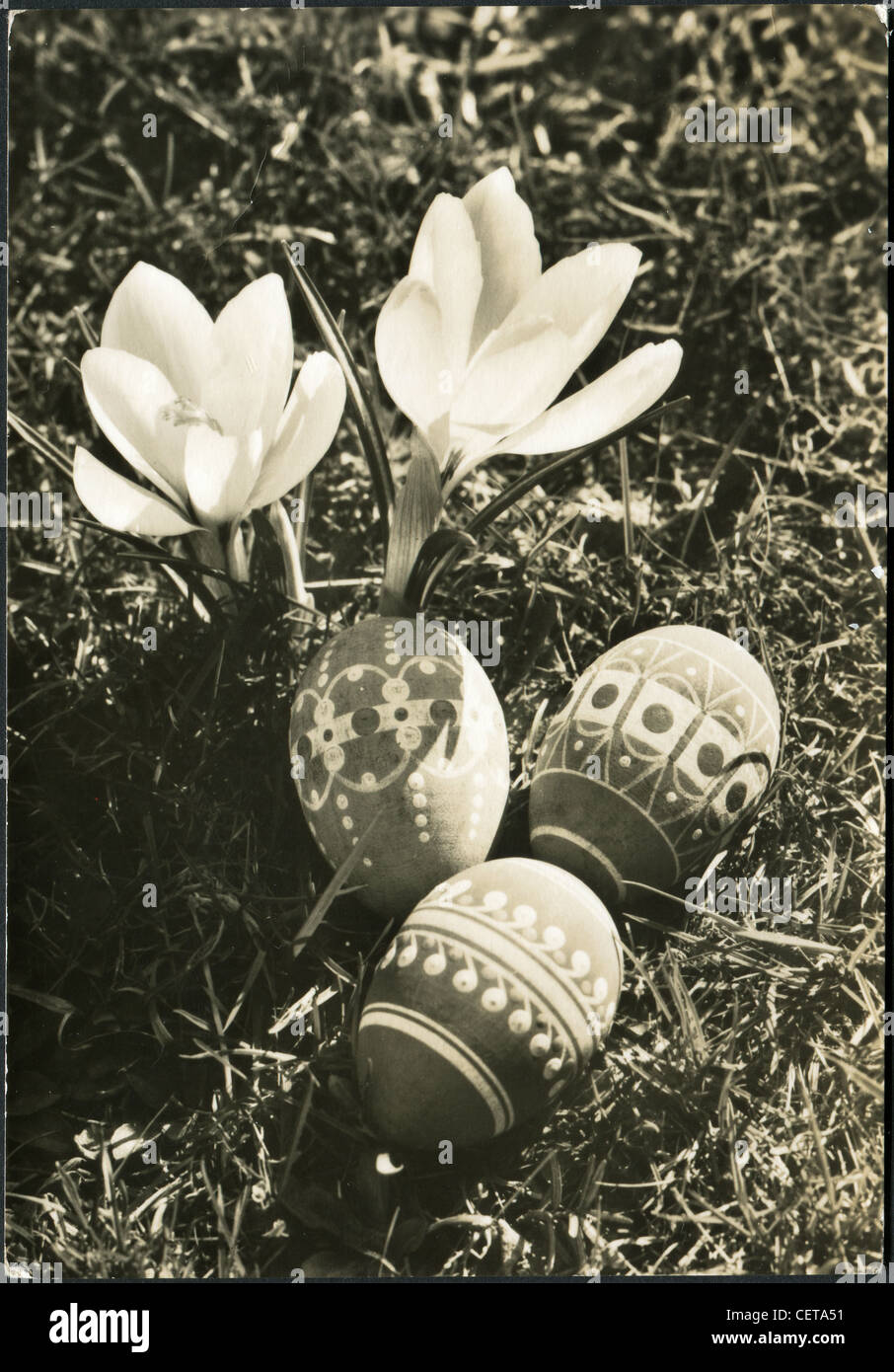 GERMANY - CIRCA 1973: Easter postcard printed in the GDR, is shown ...