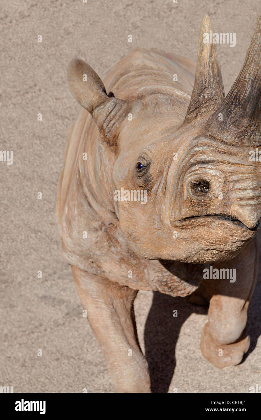 Rhinoceros close up Stock Photo - Alamy