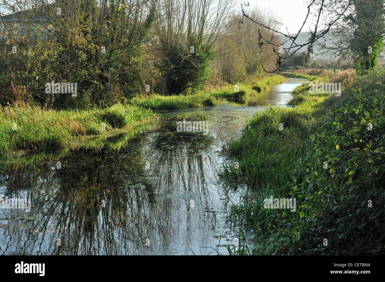 Disused Stroudwater Navigation Canal viewed from Newtown Roving Bridge ...