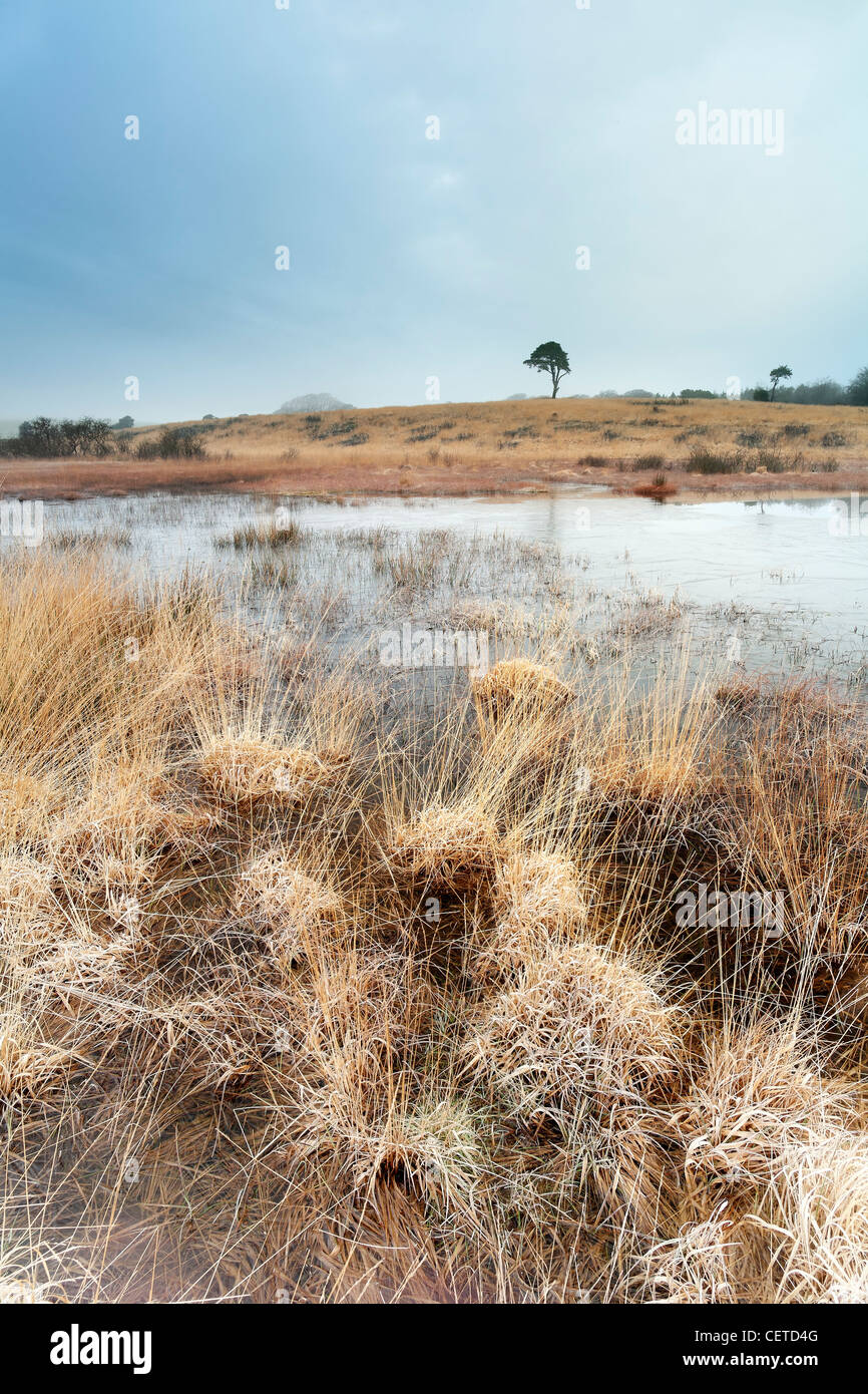Waldegrave pool hi-res stock photography and images - Alamy