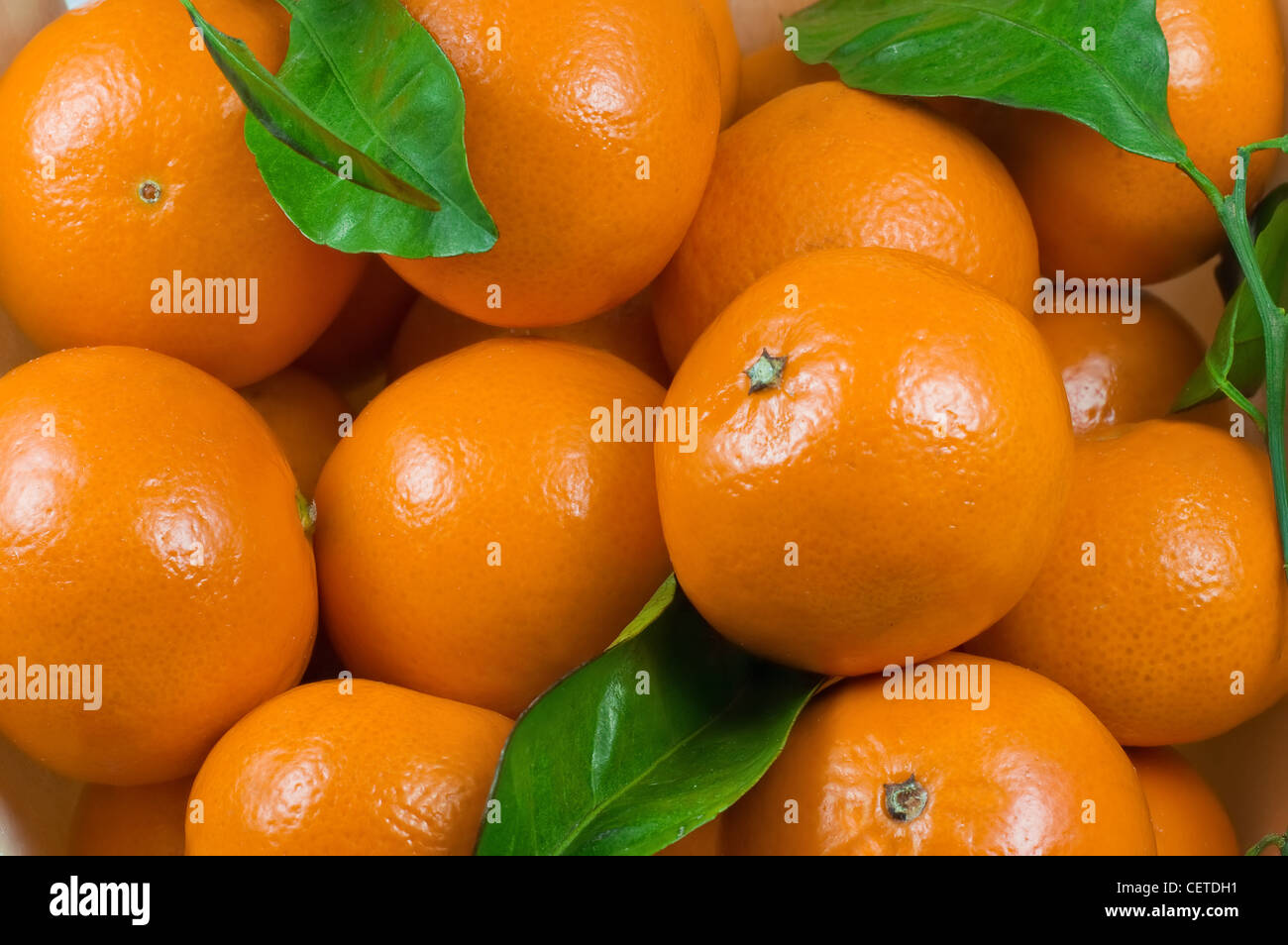 Clementines leaf hi-res stock photography and images - Alamy