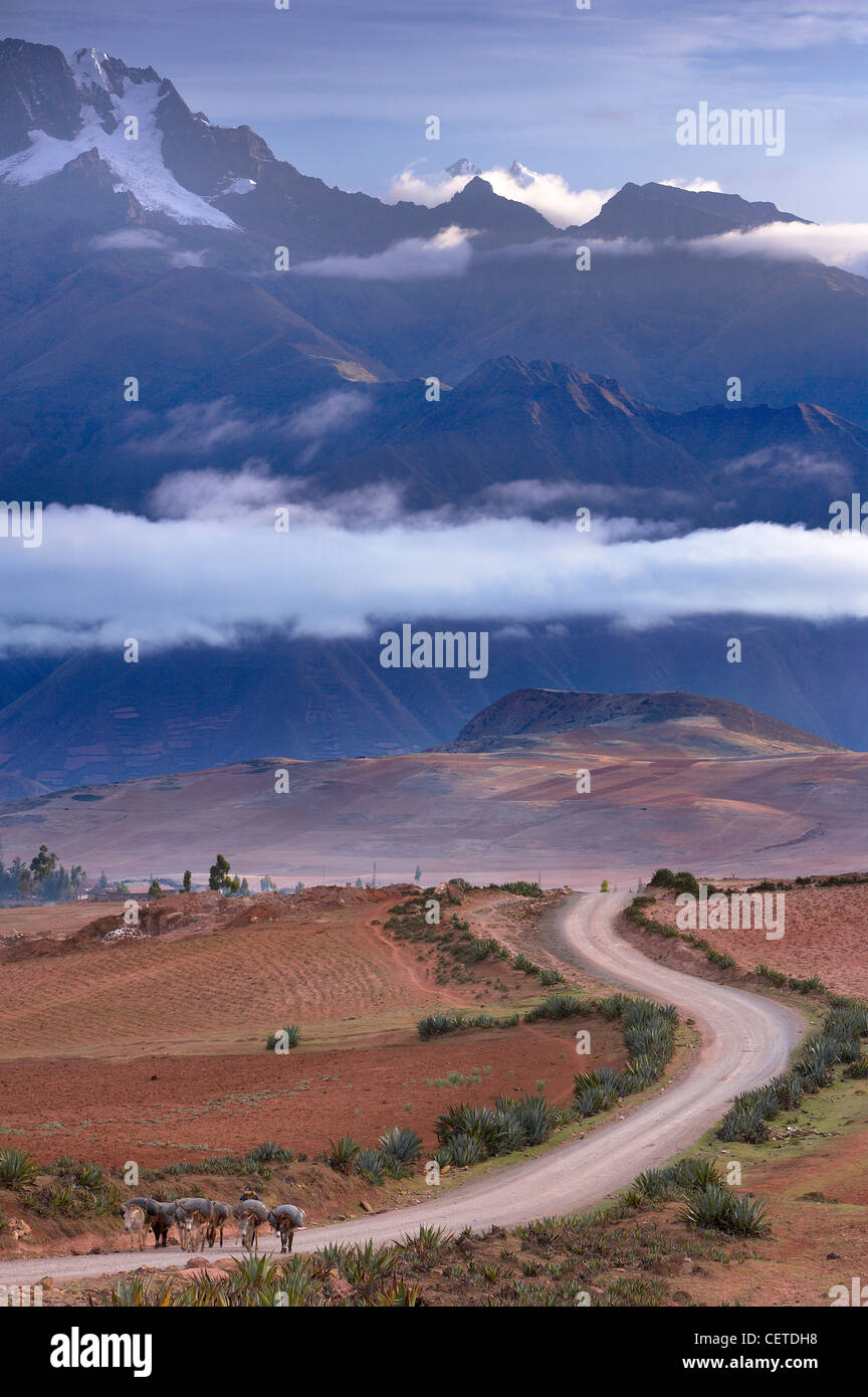 Mt Chicon & the Cordillera Urubamba (Andes) above the road to Marras on ...