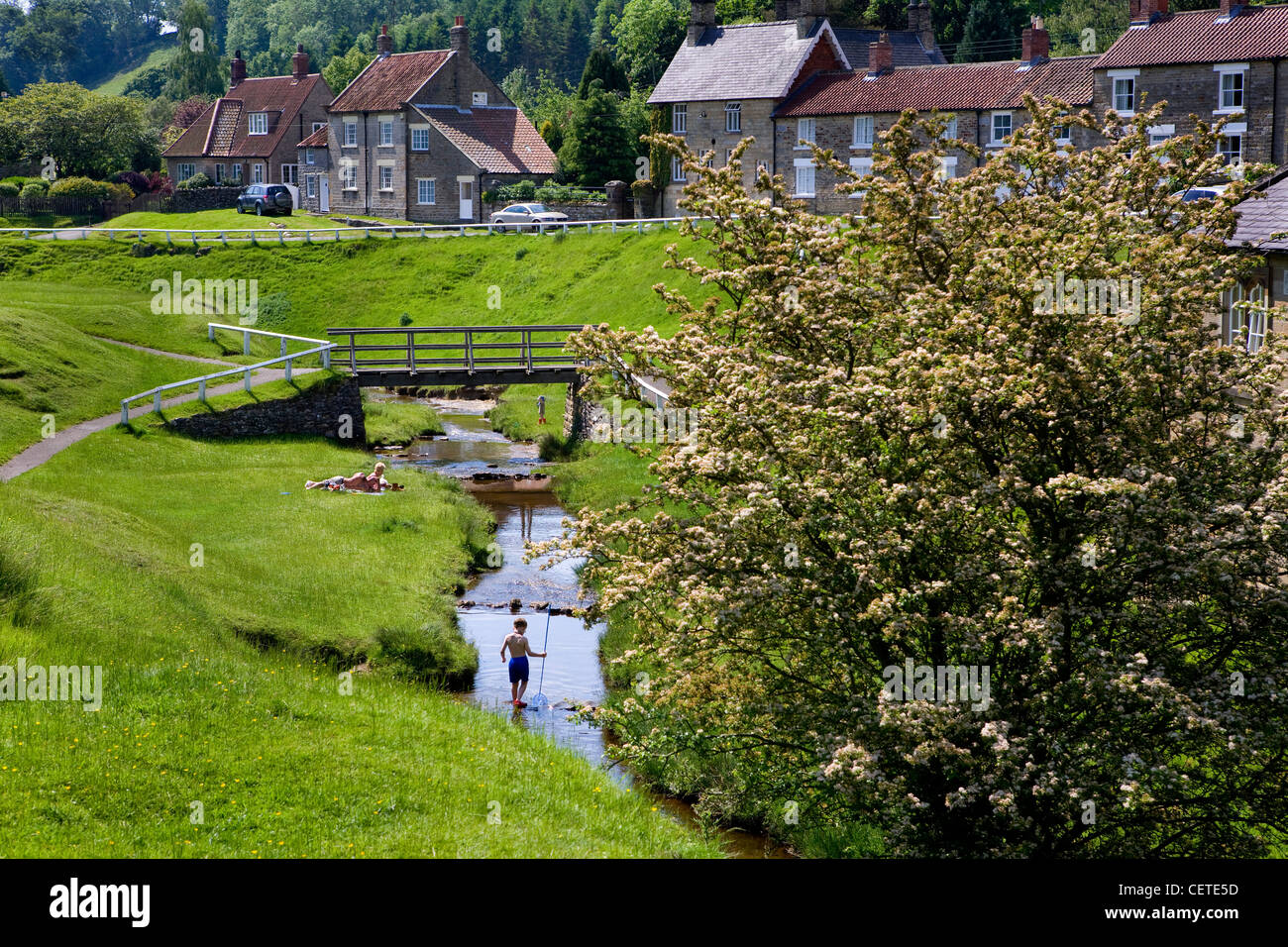 Pebbles in stream hi-res stock photography and images - Alamy