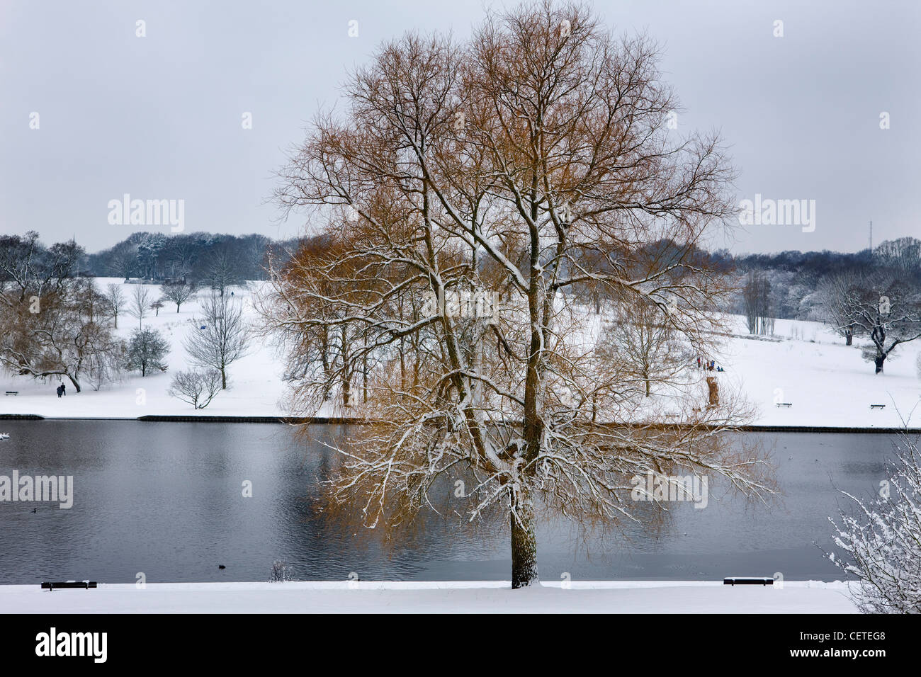 Hampstead Heath, London, England Stock Photo - Alamy