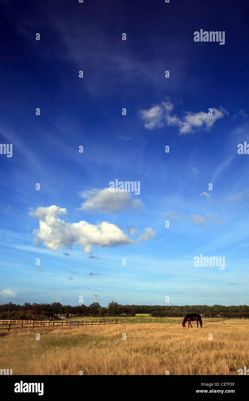 Yorkshire ridings hi-res stock photography and images - Alamy