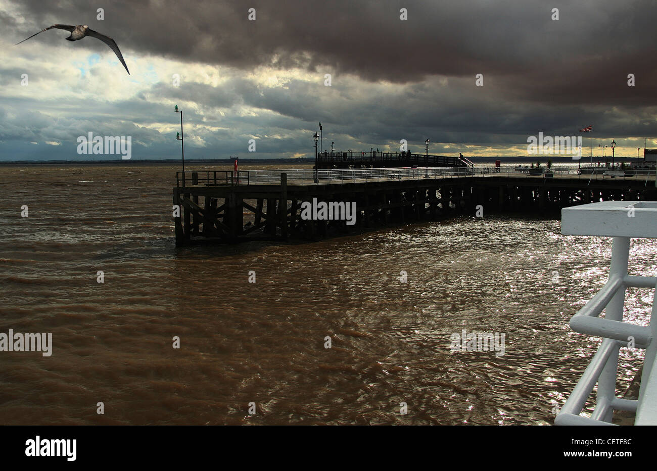 A seagull flying in from sea with a view of Hull pier Stock Photo - Alamy