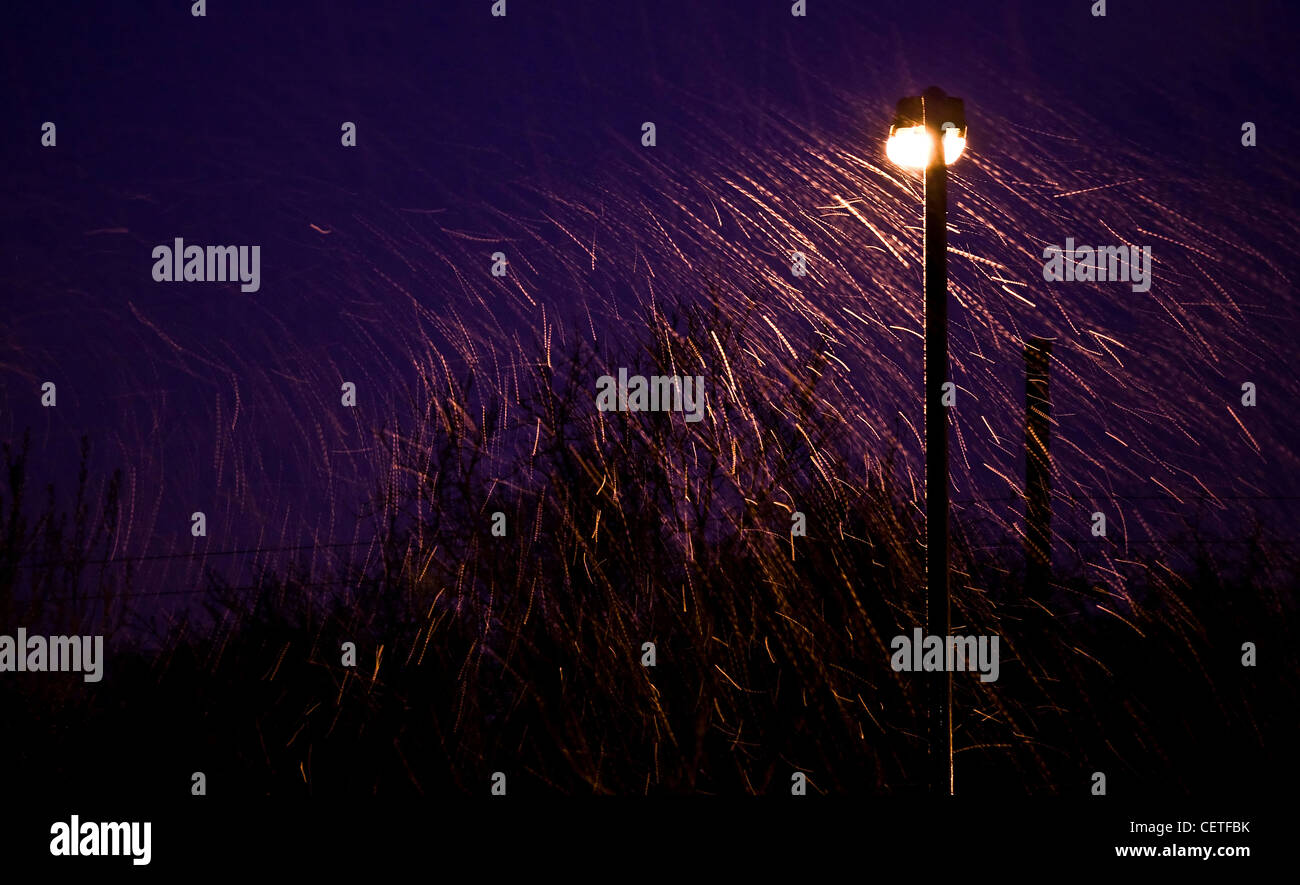 In goole hi-res stock photography and images - Alamy