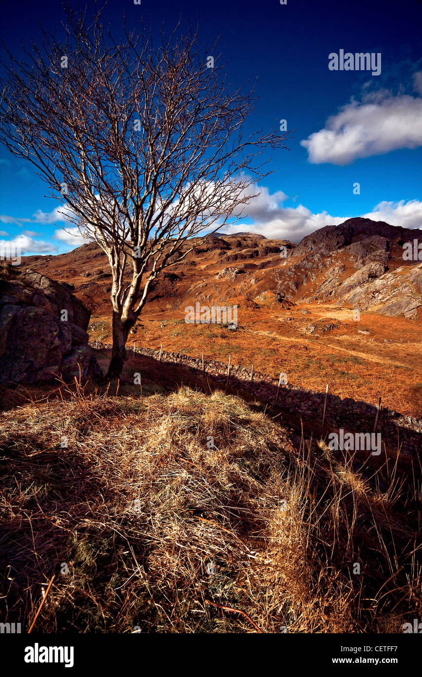 A view of autumn moorland and mountains in Cumbria Stock Photo - Alamy