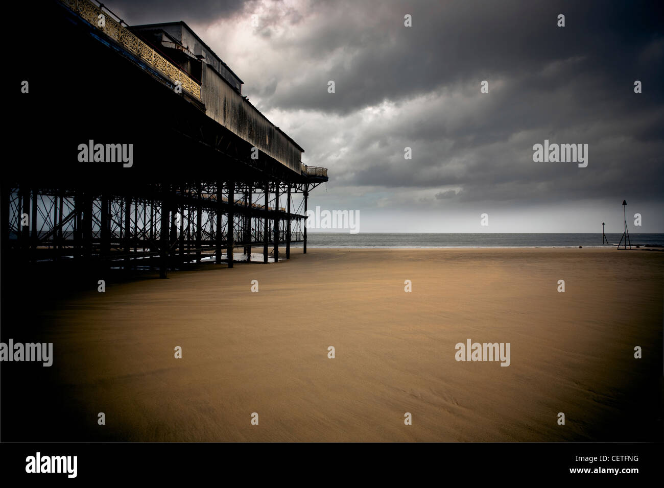 Under the sea uk hi-res stock photography and images - Alamy