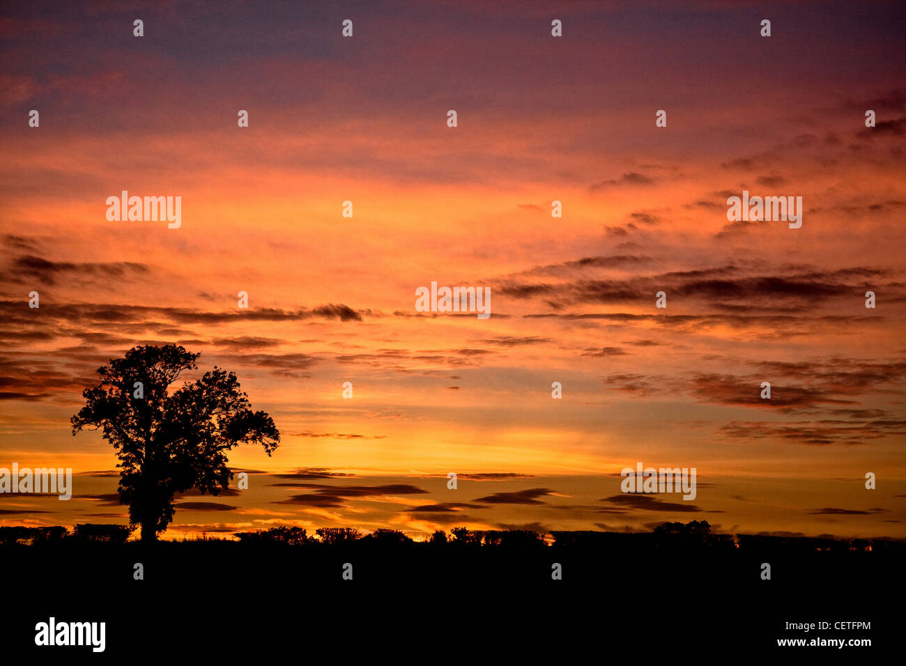 Oxfordshire Countryside Silhouette High Resolution Stock Photography ...