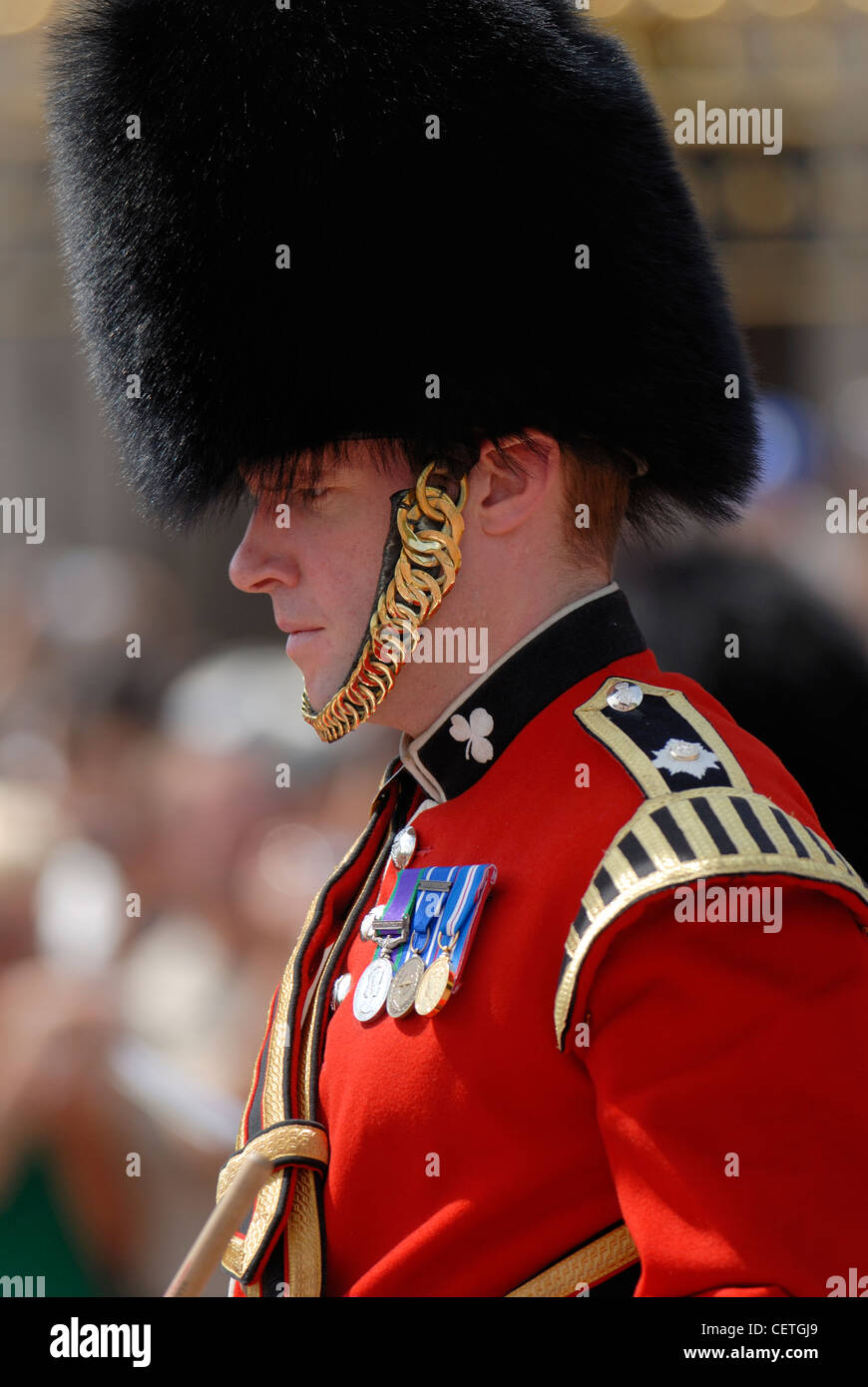 Guard busby bearskin soldier hi-res stock photography and images - Alamy