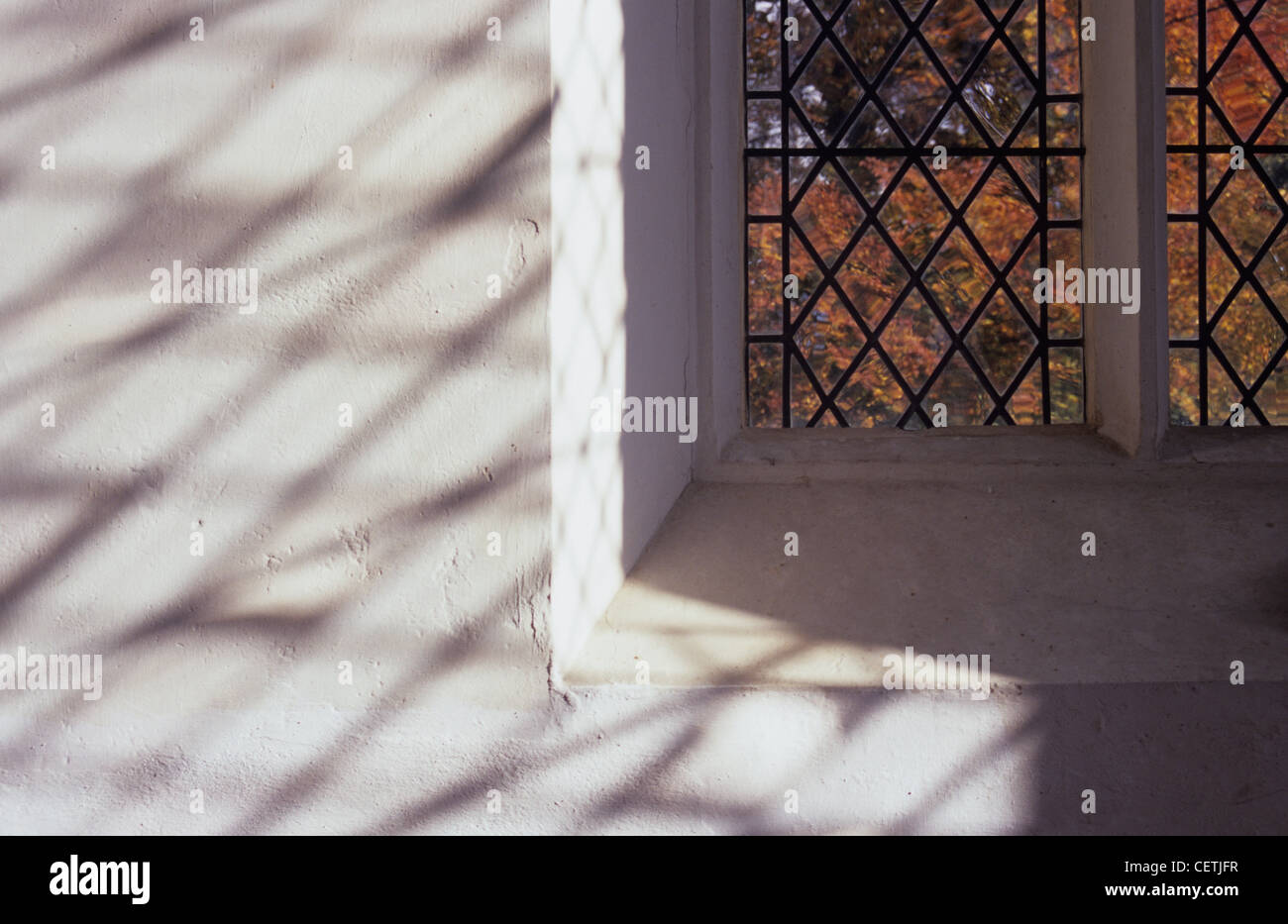 Detail of diamond-leaded window casting shadow on wall with brown ...