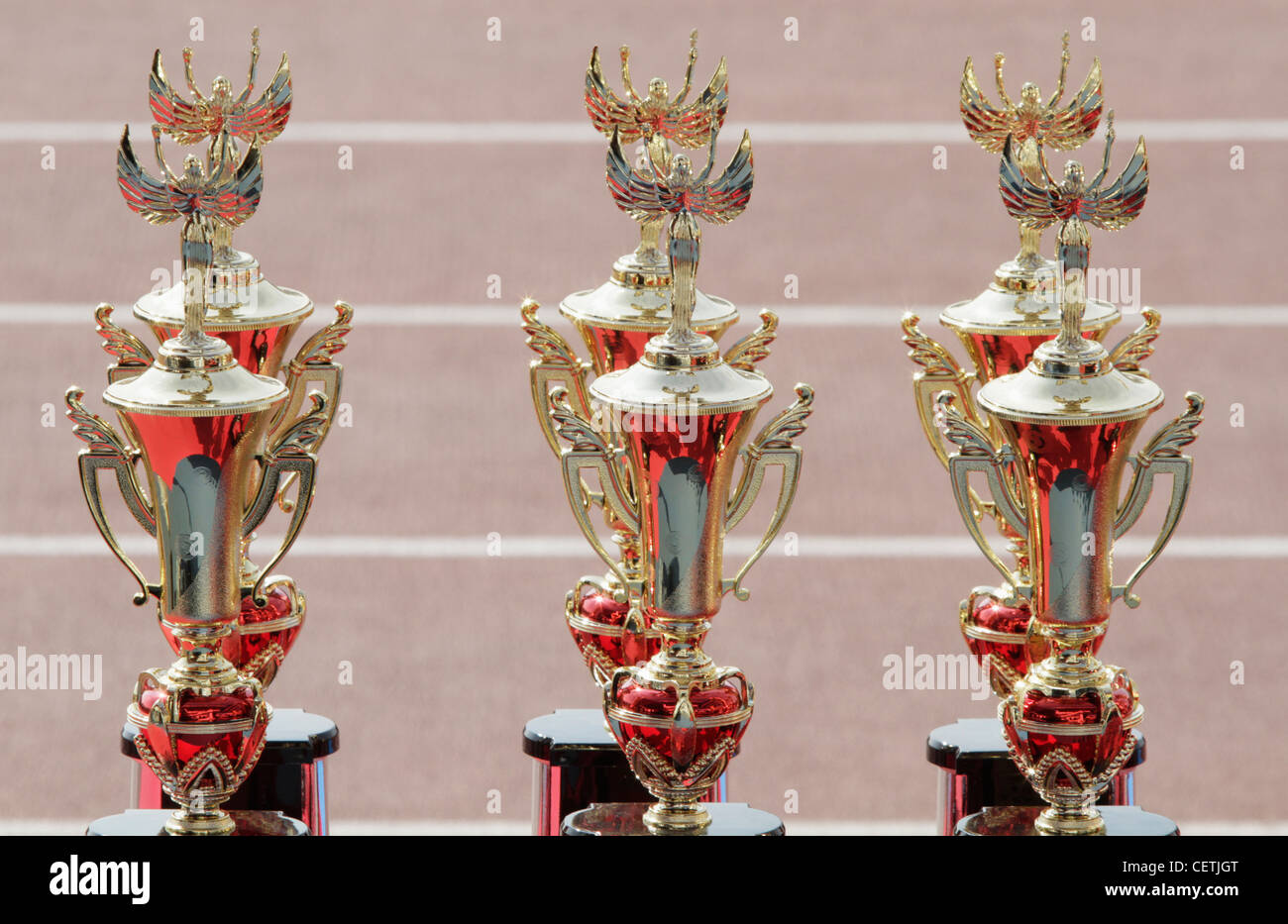 Row of champion cups display in athletic field Stock Photo - Alamy