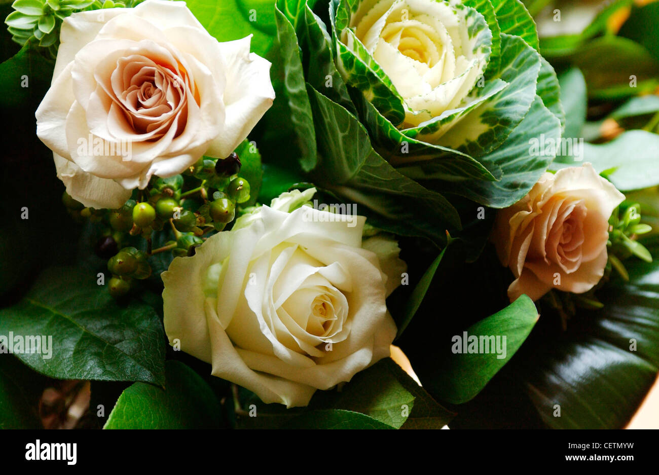 Close up of cabbage and rose bouquet Stock Photo - Alamy