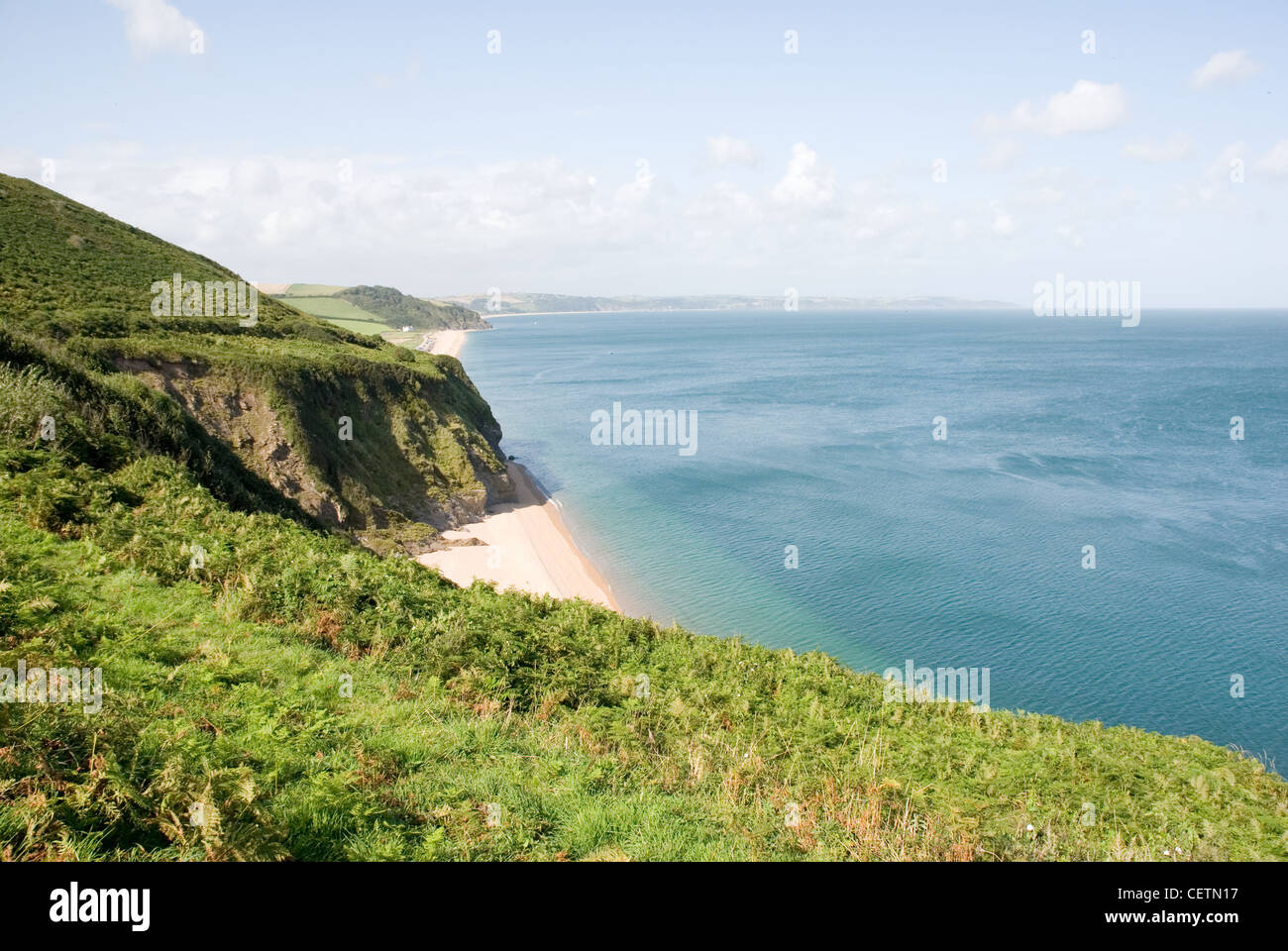 Beesands hi-res stock photography and images - Alamy
