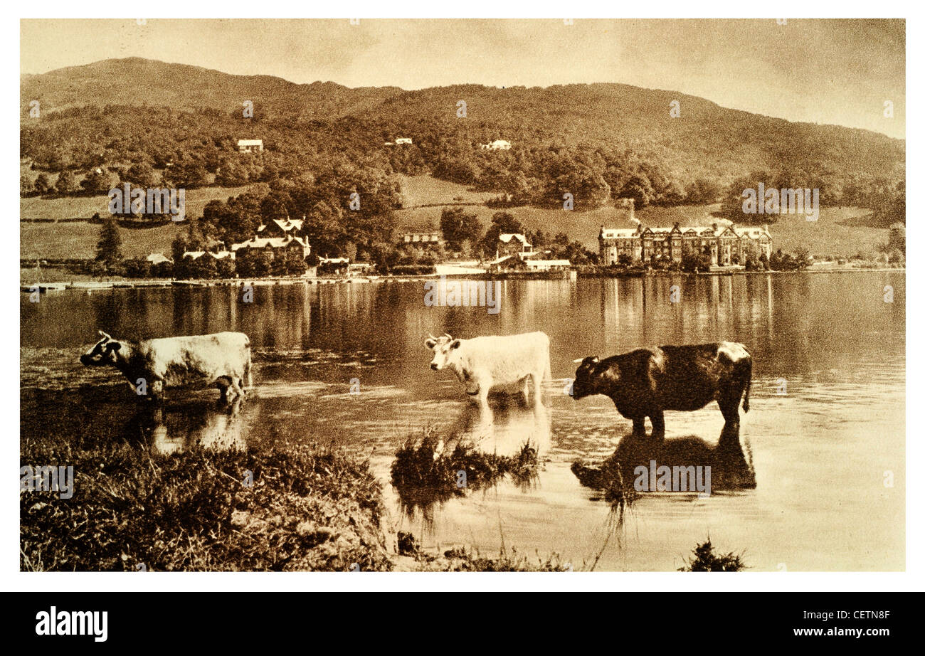 A Summer Day Waterhead Stock Photo - Alamy