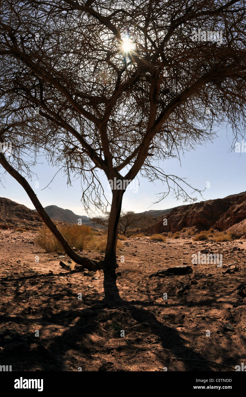 Desert scene in Jordan Stock Photo - Alamy