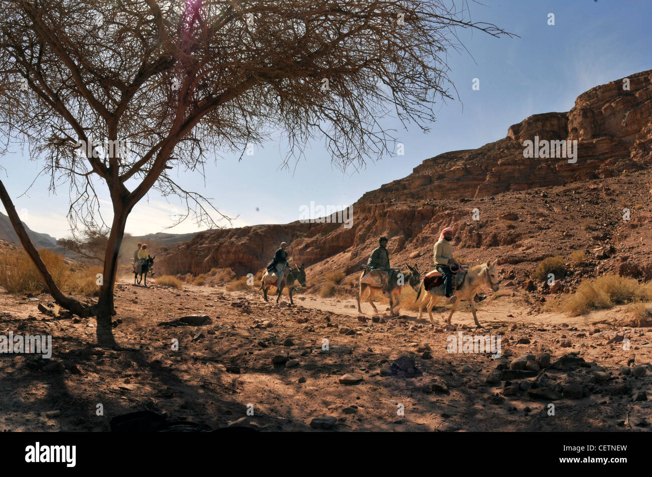 Desert scene in Jordan Stock Photo - Alamy