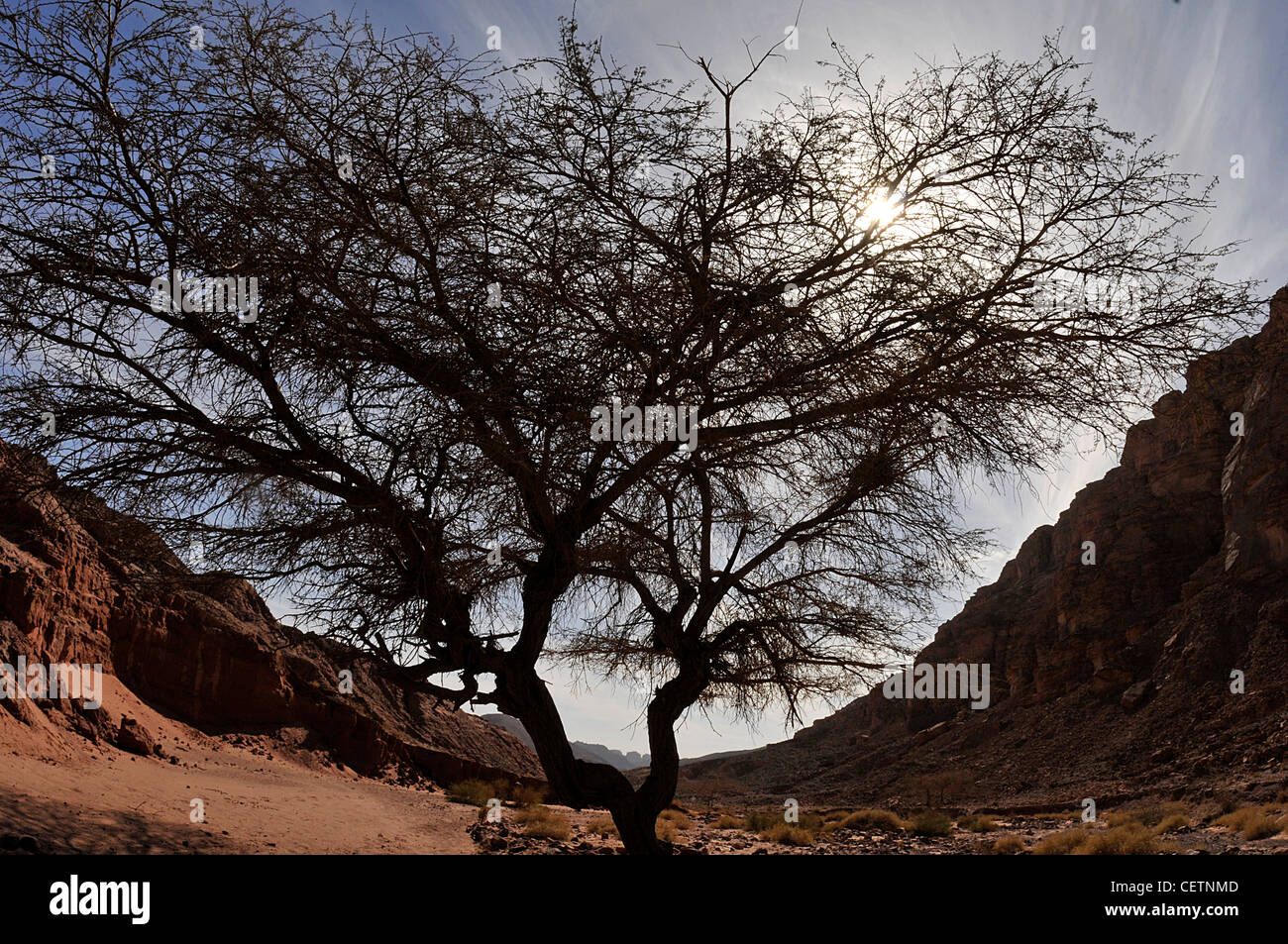 Desert scene in Jordan Stock Photo - Alamy