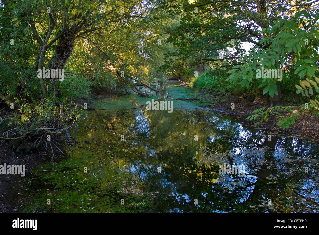 Untouched river hi-res stock photography and images - Alamy