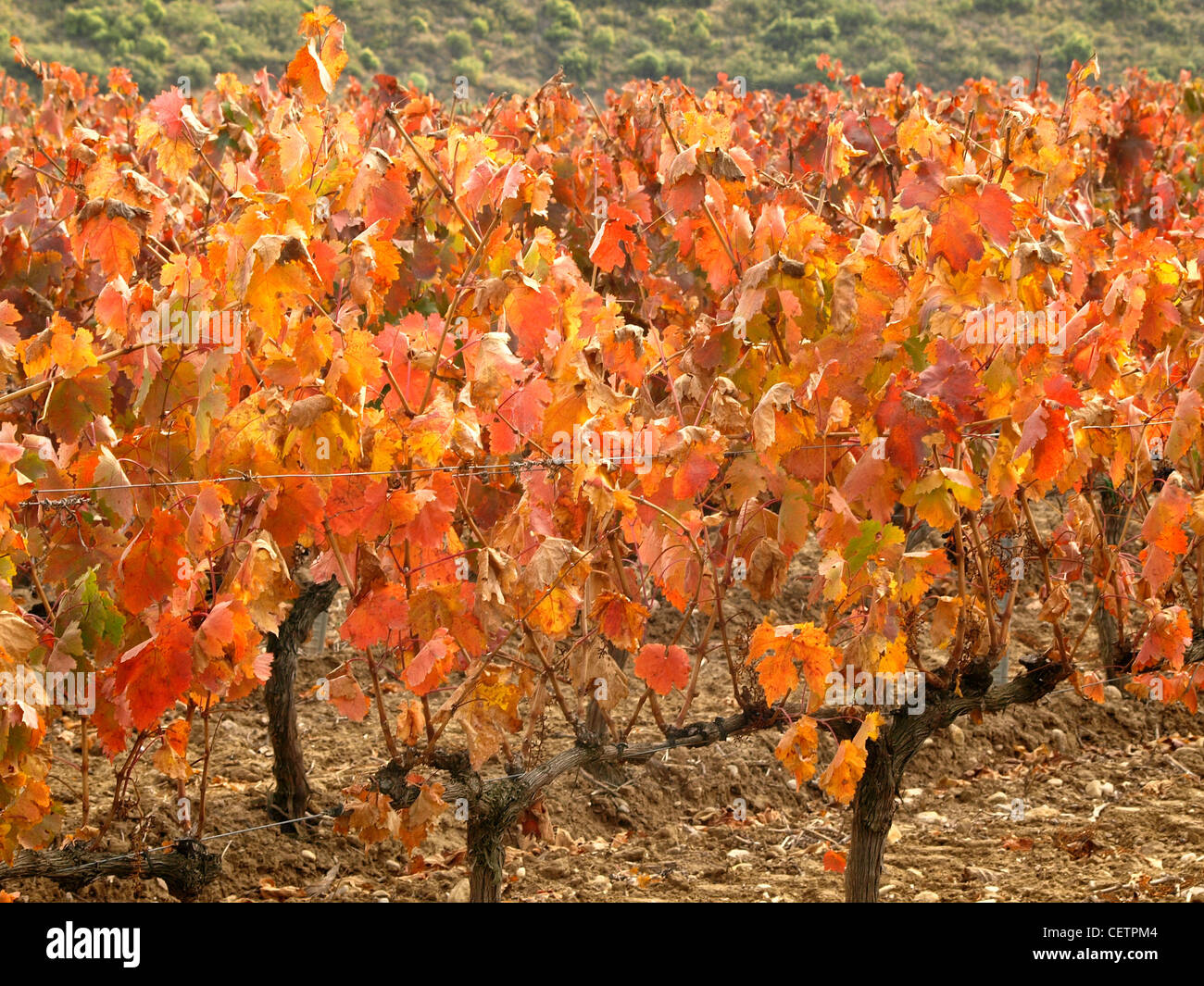 Rural landscape in la rioja hi-res stock photography and images - Alamy