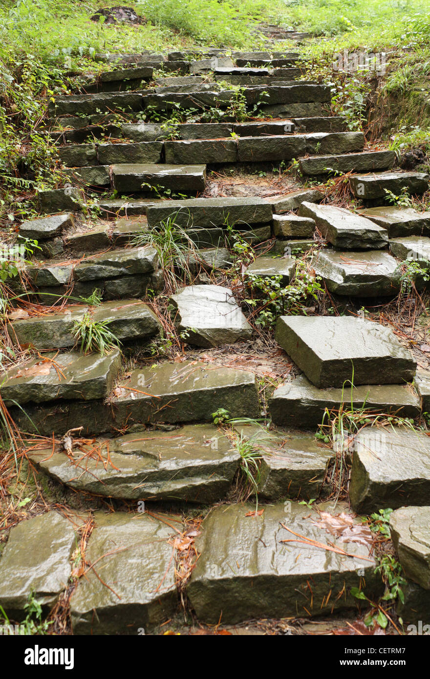 Ancient ladder hi-res stock photography and images - Alamy