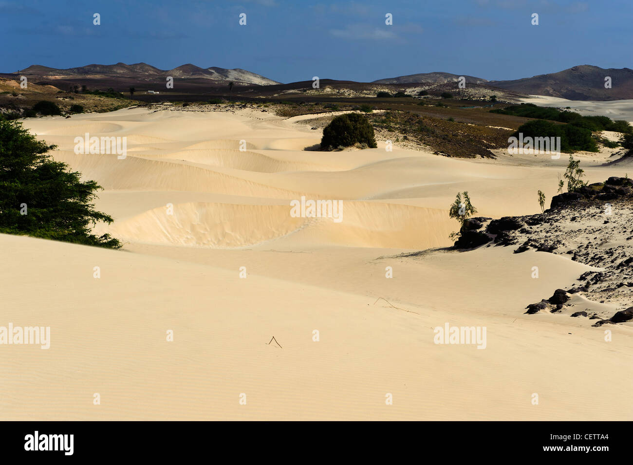 desert Deserto Viana, Boa Vista, Cape Verde Islands, Africa Wüste ...