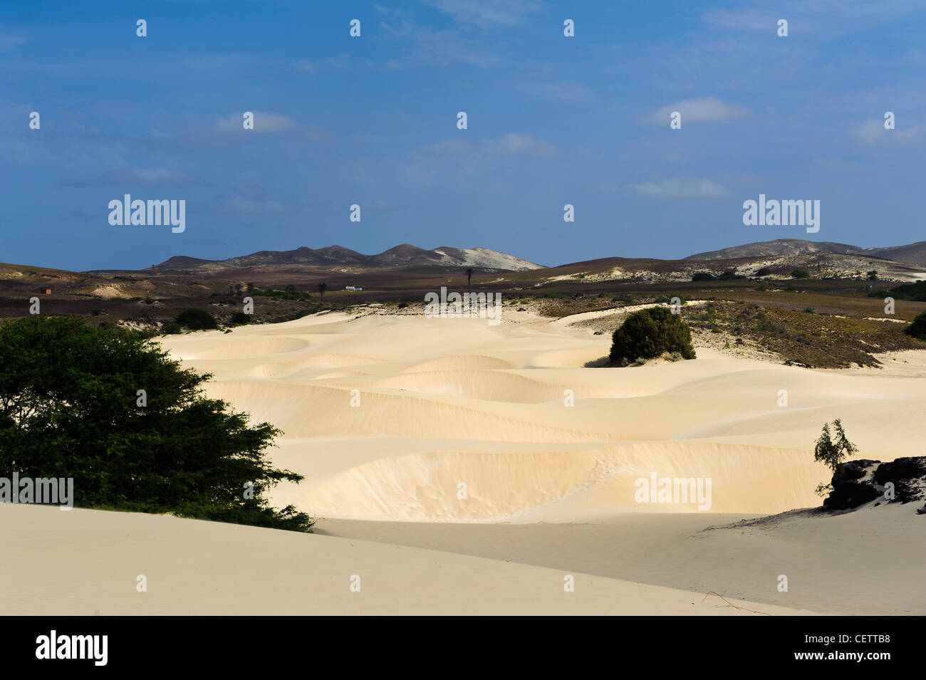 desert Deserto Viana, Boa Vista, Cape Verde Islands, Africa Wüste ...