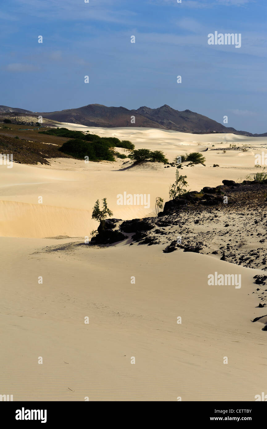 desert Deserto Viana, Boa Vista, Cape Verde Islands, Africa Wüste ...