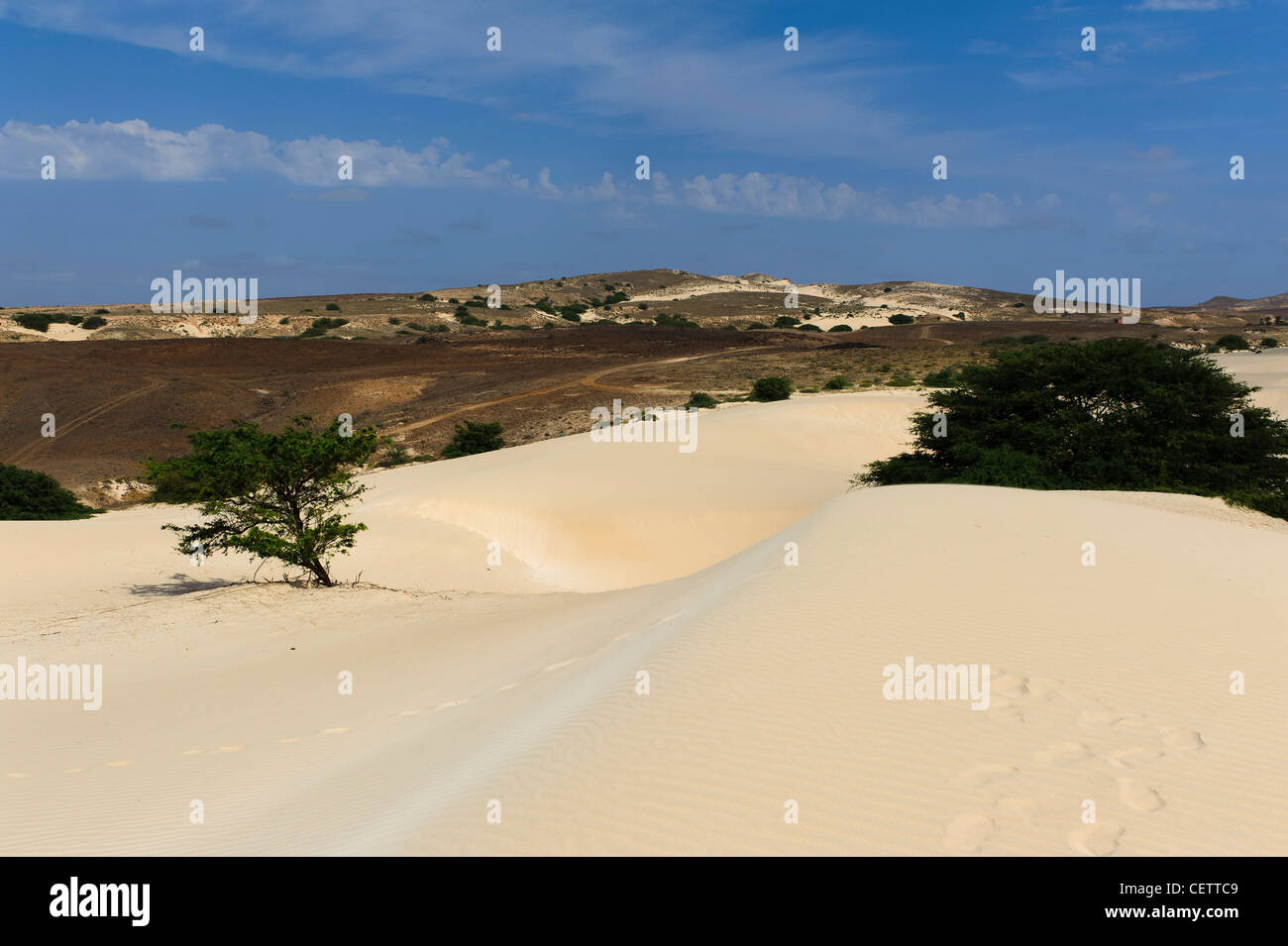 desert Deserto Viana, Boa Vista, Cape Verde Islands, Africa Wüste ...