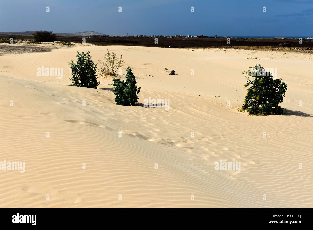 desert Deserto Viana, Boa Vista, Cape Verde Islands, Africa Wüste ...